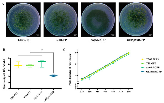 Trichoderma harzianum Cellulase Gene thph2 Affects Trichoderma Root Colonization and Induces ...