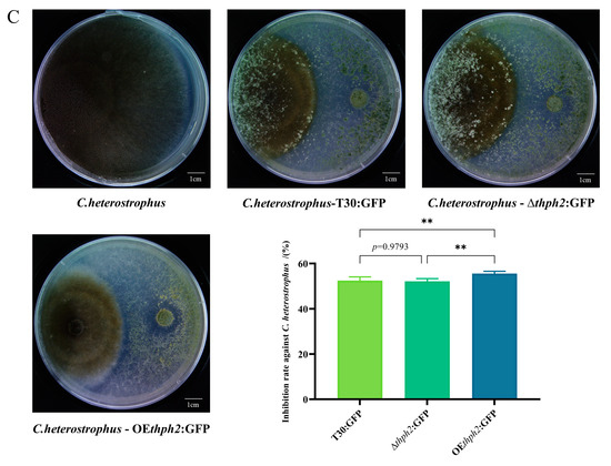 Trichoderma harzianum Cellulase Gene thph2 Affects Trichoderma Root Colonization and Induces ...