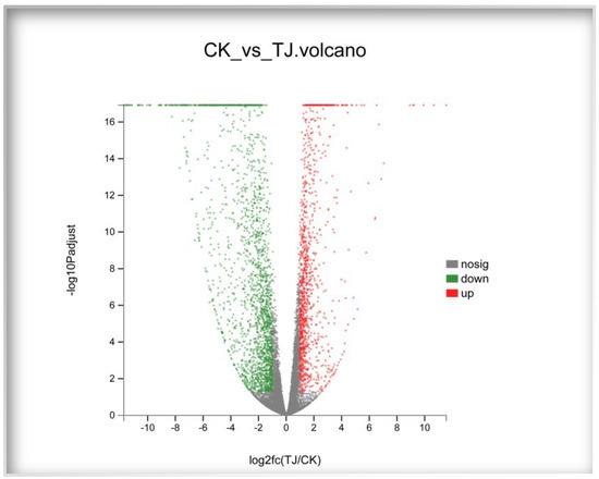 Transcriptomic and Proteomic Insights into the Effect of ...