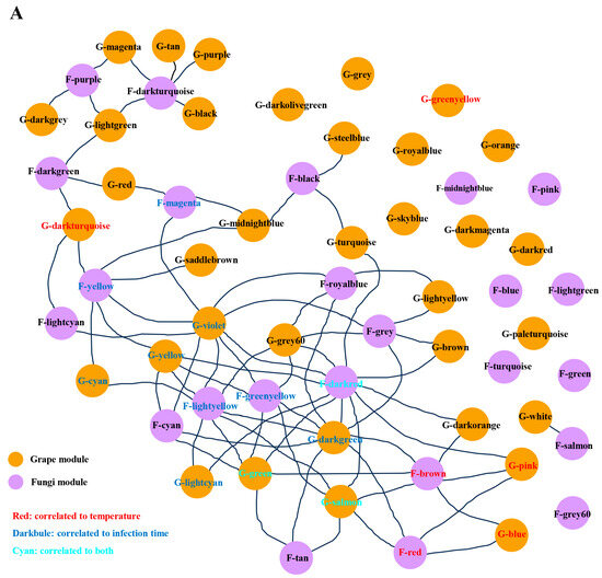 Dual RNA-Seq Reveals Temperature-Mediated Gene Reprogramming and ...