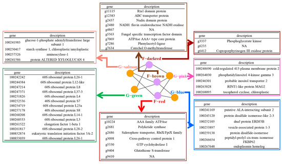 Dual RNA-Seq Reveals Temperature-Mediated Gene Reprogramming and ...