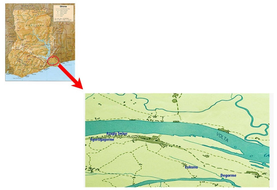 Molecular Identification and Characterization of Five Ganoderma Species ...