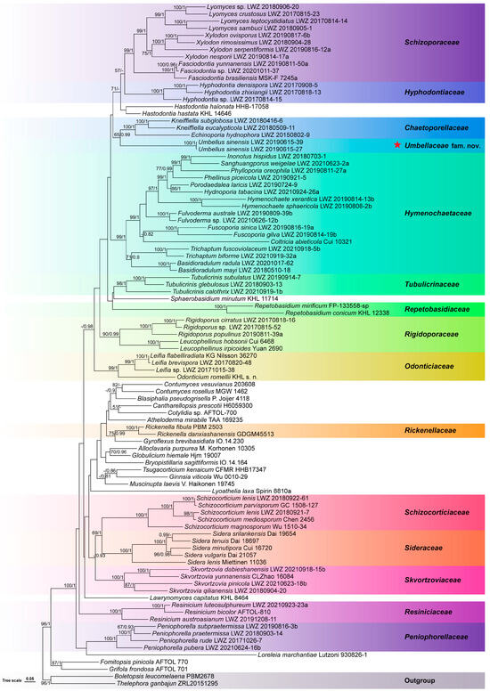 Umbellaceae fam. nov. (Hymenochaetales, Basidiomycota) for Umbellus ...