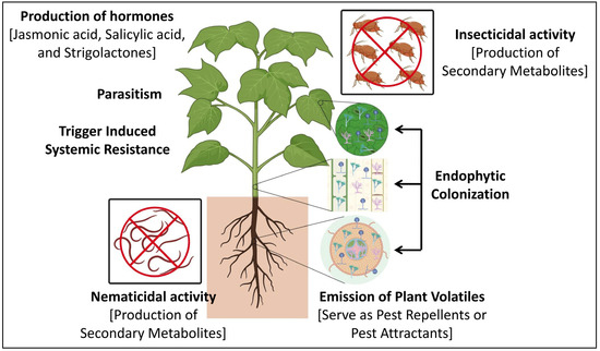Fungal Endophytes as Mitigators against Biotic and Abiotic Stresses in ...