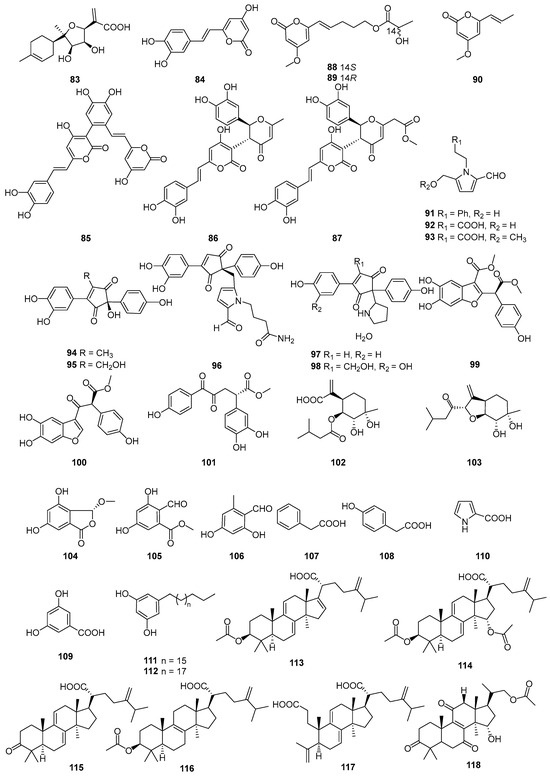 JoF | Free Full-Text | Biological Activities of Secondary Metabolites ...