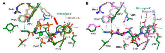 JoF | Free Full-Text | Innovations in Antifungal Drug Discovery among ...