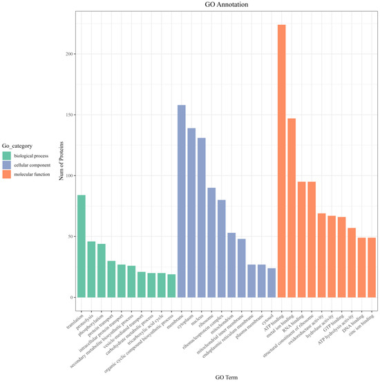 Exploring Mechanisms of Antifungal Lipopeptide Iturin A from Bacillus ...
