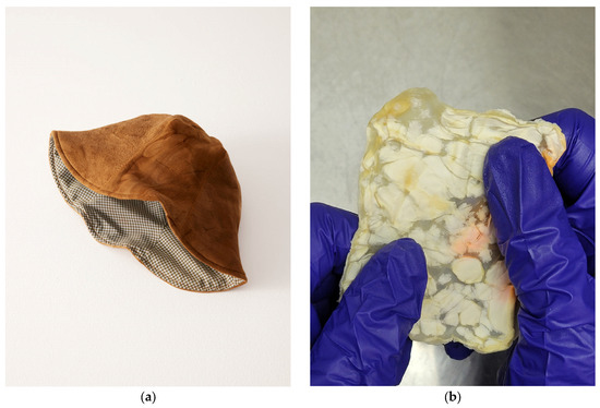 From Nature to Design: Tailoring Pure Mycelial Materials for the Needs ...