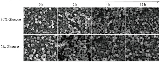JoF | Free Full-Text | High Glucose Is a Stimulation Signal of the Salt ...