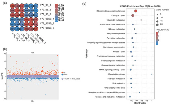 Integrated Transcriptomics and Metabolomics Analysis Reveal the ...