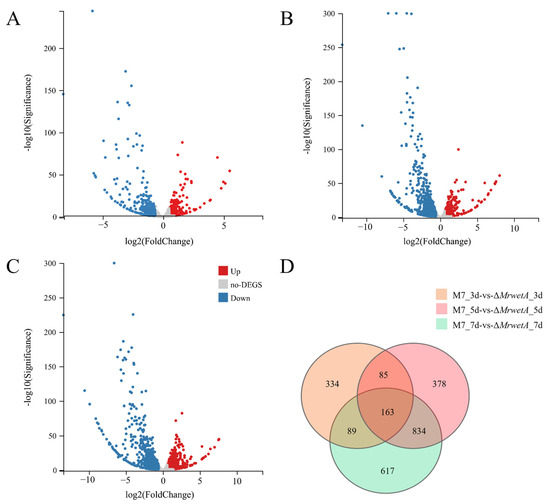 Effects of MrwetA on Sexual Reproduction and Secondary Metabolism of ...