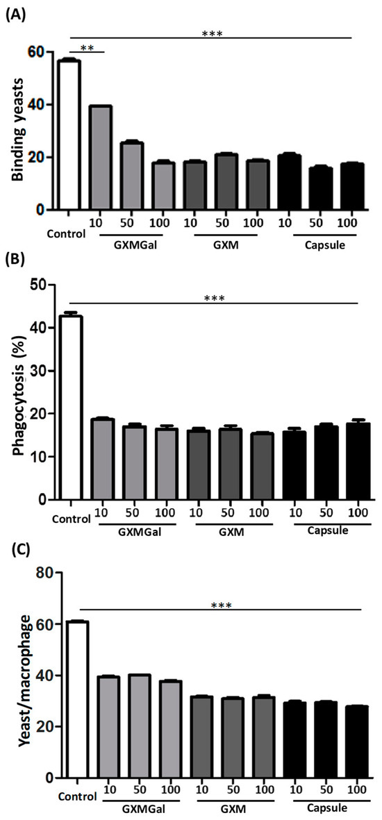 Inhibition of Microbicidal Activity of Canine Macrophages DH82 Cell ...