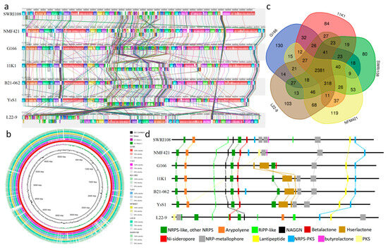 JoF | Free Full-Text | Genome Analysis of Pseudomonas viciae G166 ...