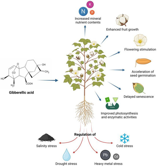 JoF | Free Full-Text | Bioprocess of Gibberellic Acid by Fusarium ...
