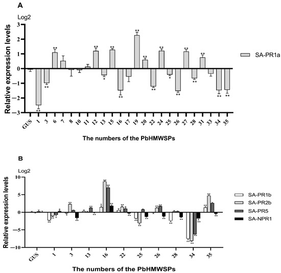 Identification and Characterization of High-Molecular-Weight Proteins ...