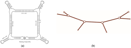 Development of an RNA Nanostructure for Effective Botrytis cinerea ...
