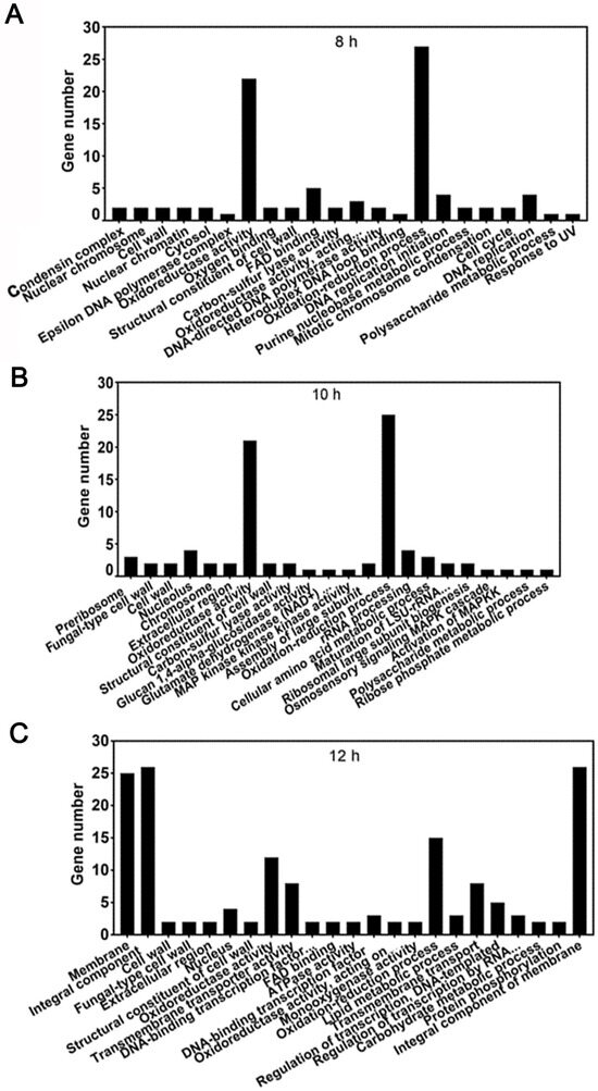 The Forkhead Box Gene, MaSep1, Negatively Regulates UV- and Thermo ...