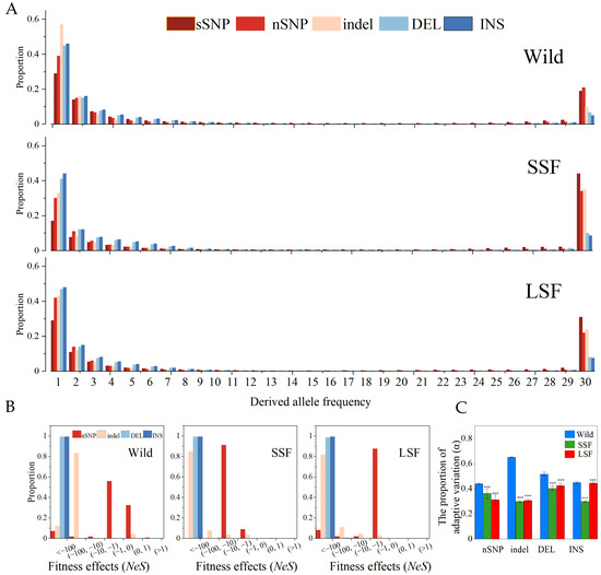 Graph-Based Pan-Genome Reveals the Pattern of Deleterious Mutations ...