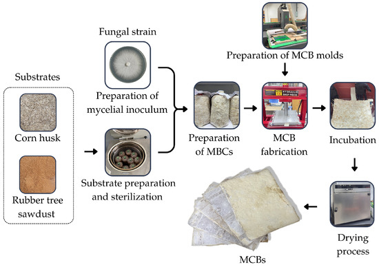 Comparative Evaluation of Mechanical and Physical Properties of ...