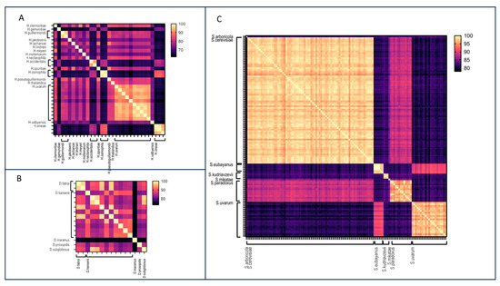 Evaluating the Genome-Based Average Nucleotide Identity Calculation for ...