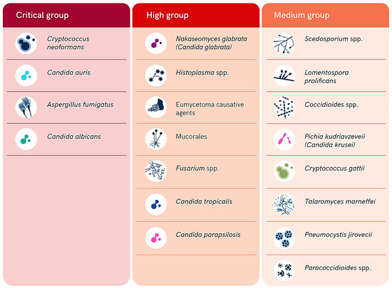 Diversity and Distribution of Fungal Infections in Rwanda: High Risk ...