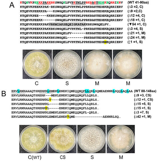The Aspergillus flavus hacA Gene in the Unfolded Protein Response ...