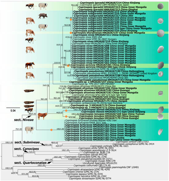 Biodiversity of Herbivores Triggers Species Differentiation of ...