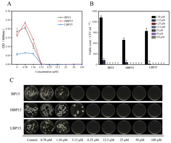 Control of Postharvest Green Mold in Citrus by the Antimicrobial Peptide BP15 and Its Lipopeptides