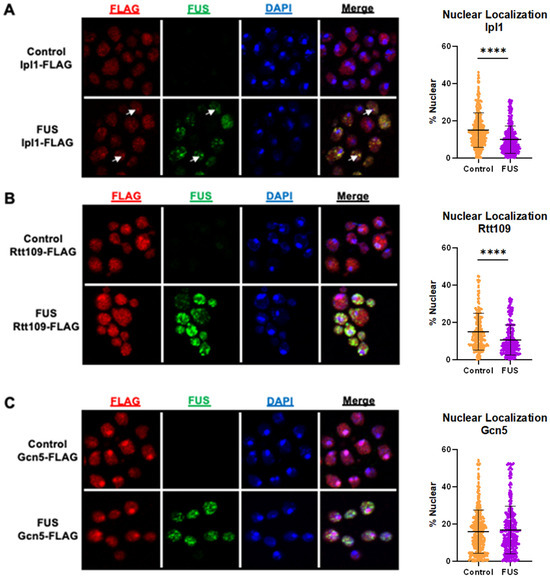 Direct and Indirect Protein Interactions Link FUS Aggregation to ...