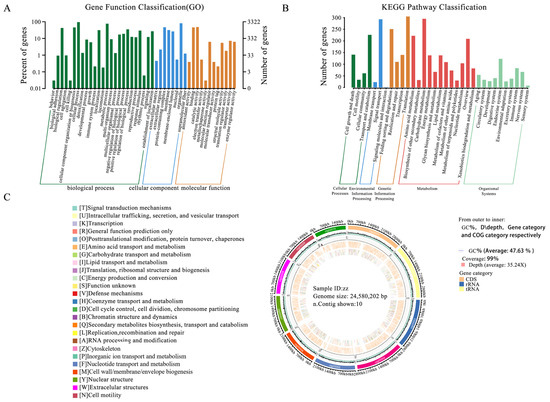 Whole-Genome Sequencing and Fine Map Analysis of Pholiota nameko