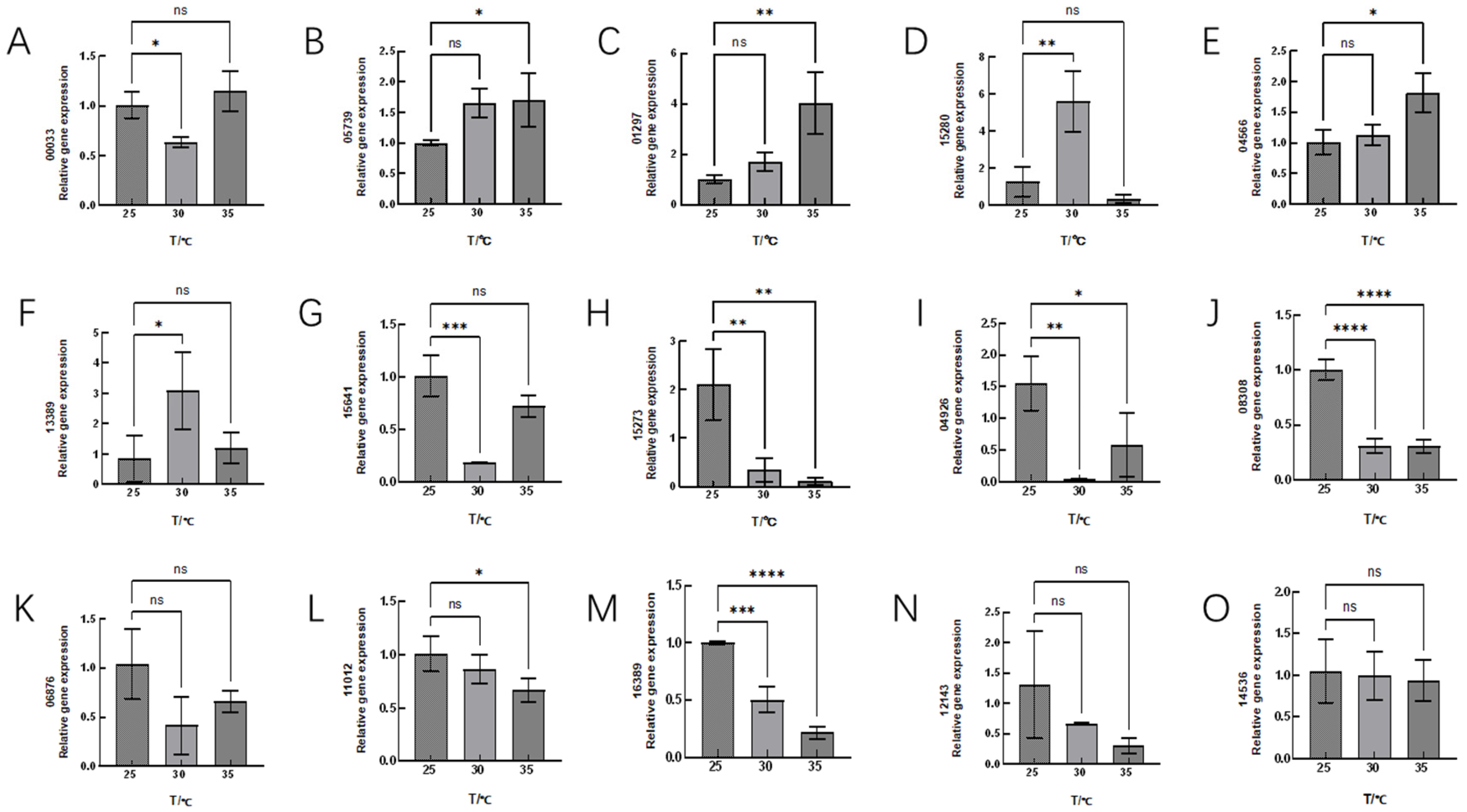Integrated Multi-Omics Analysis to Investigate the Molecular Mechanisms Underlying the Response ...