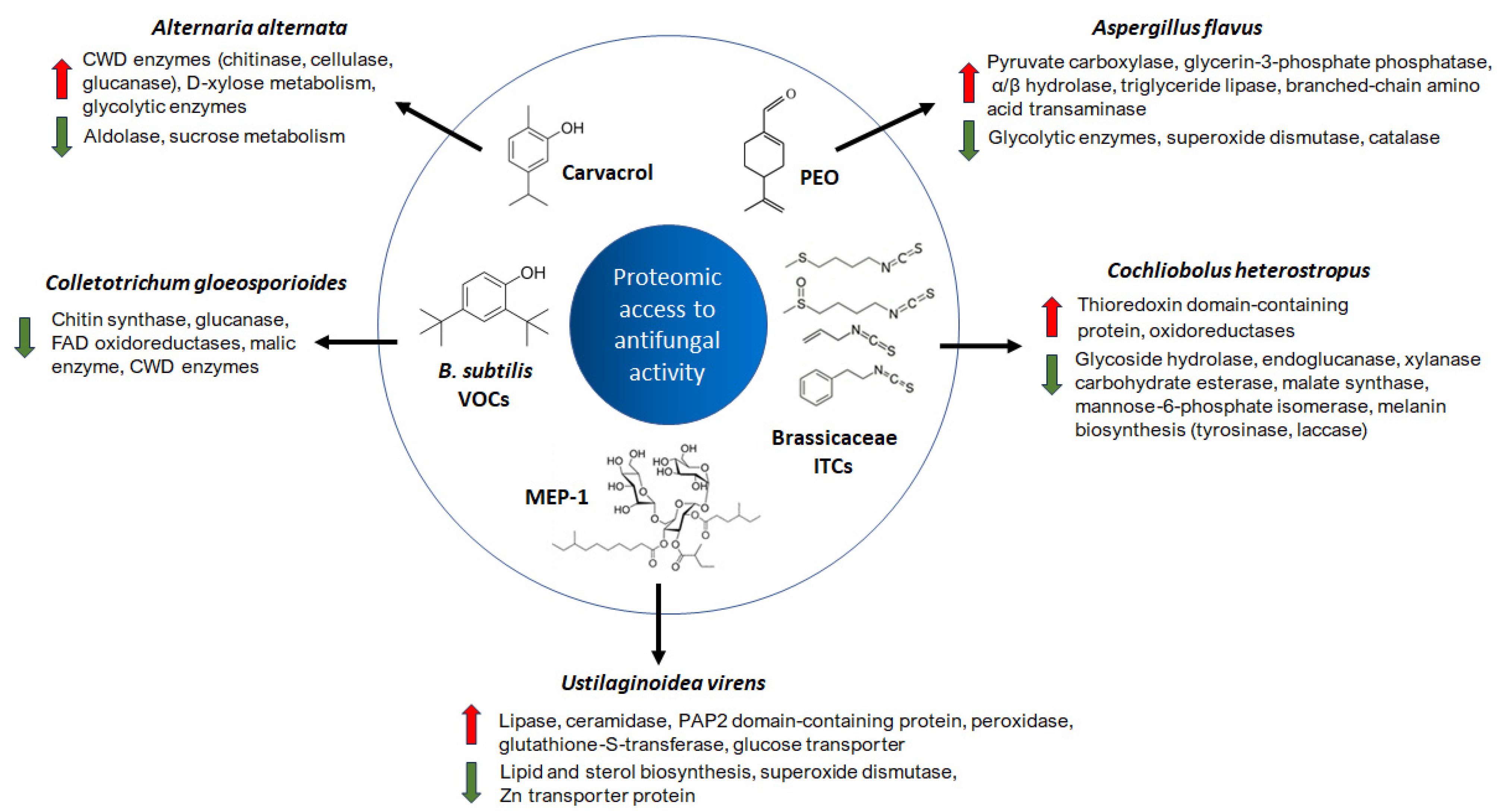 Proteomic Strategies on the Management of Phytopathogenic Fungi