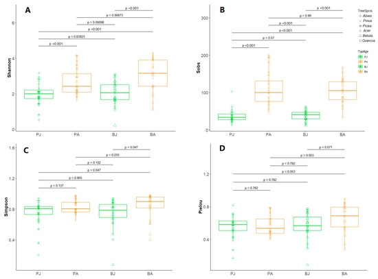 Host Developmental Stage and Vegetation Type Govern Root EcM Fungal ...