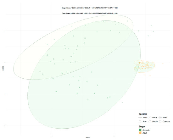 Host Developmental Stage and Vegetation Type Govern Root EcM Fungal ...