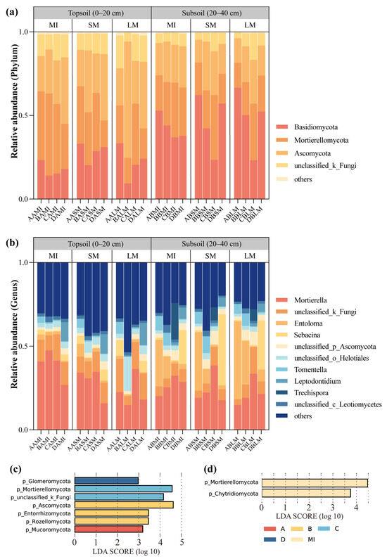 Microaggregates as Nutrient Reservoirs for Fungi Drive Natural ...