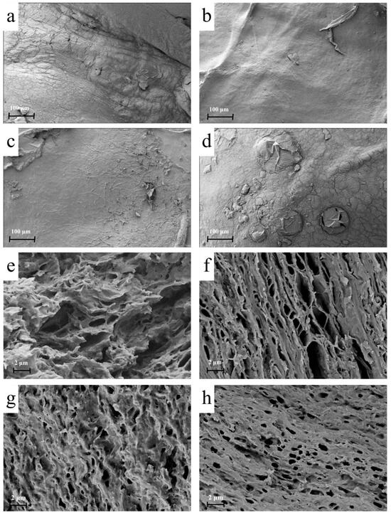 Revolutionizing Eco-Friendly Leather Production: A Freeze-Thaw and ...