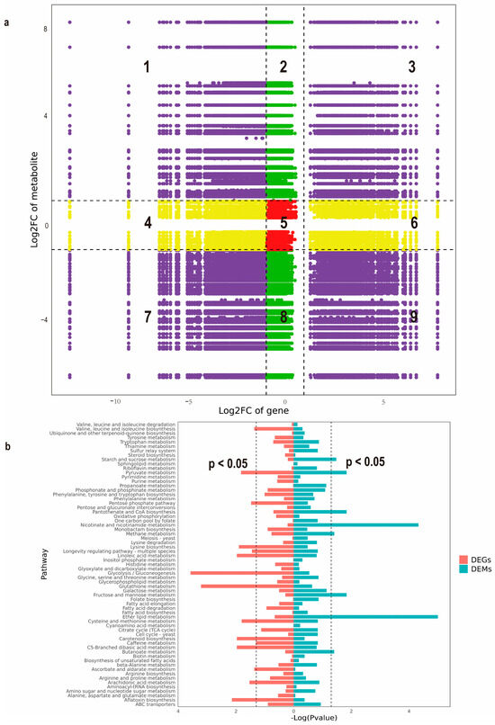 Integrated Transcriptomics and Metabolomics Provide Insight into ...