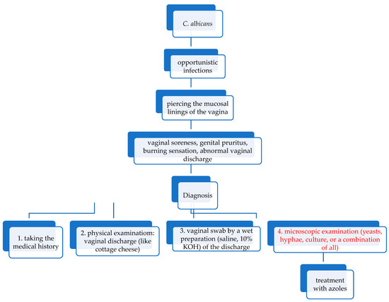 A Comprehensive Overview of Candida albicans as the Leading Pathogen in ...