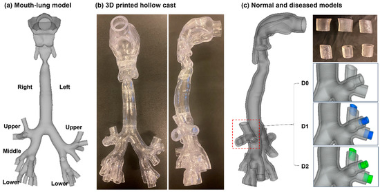 Breathe out the Secret of the Lung: Video Classification of Exhaled ...