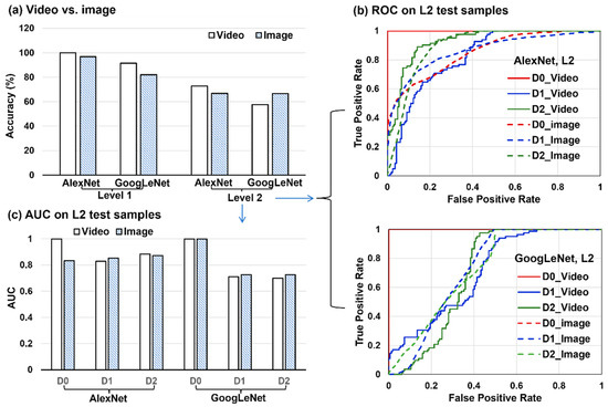 Breathe out the Secret of the Lung: Video Classification of Exhaled ...