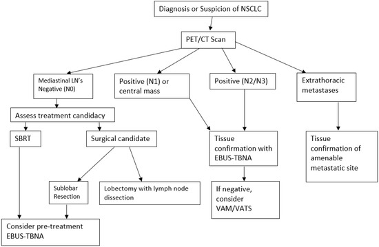 Lung Cancer Staging—A Clinical Practice Review