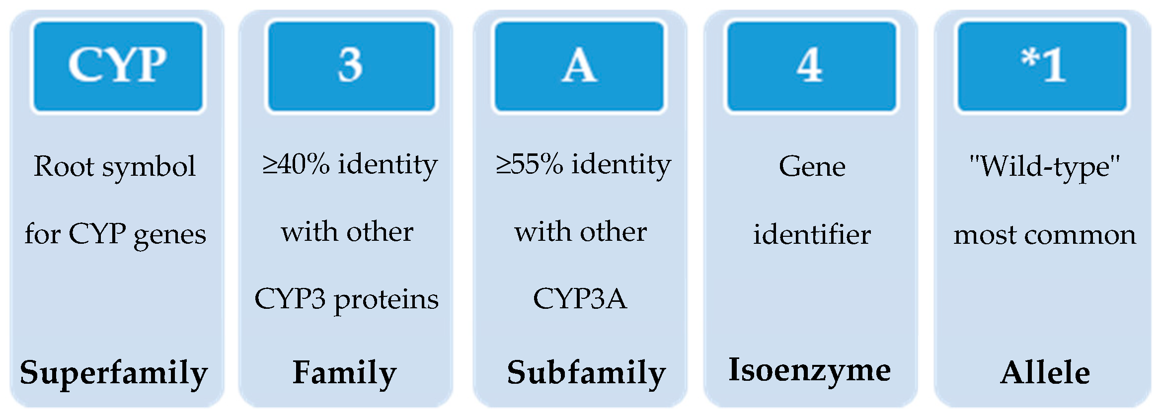 Jox Free Full Text The Central Role Of Cytochrome P450 In