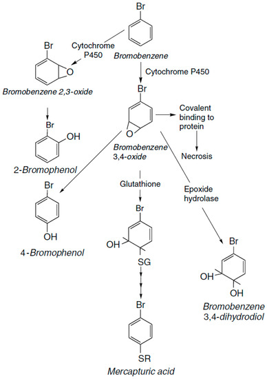 Jox Free Full Text Xenobiotics—division And Methods Of Detection A