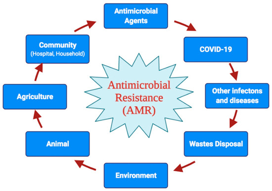 Review on Multiple Facets of Drug Resistance: A Rising Challenge in the ...