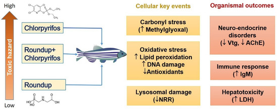 Pesticide Pollution: Detrimental Outcomes and Possible Mechanisms of ...