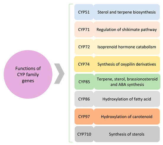 Cytochrome P450 Gene Families: Role in Plant Secondary Metabolites ...