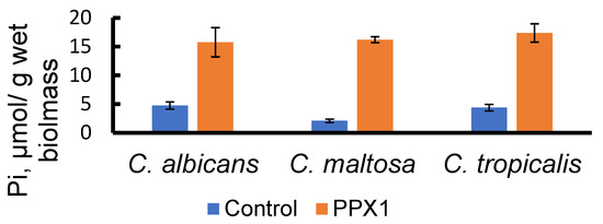 JoX | Free Full-Text | The Extracellular Vesicles Containing Inorganic ...