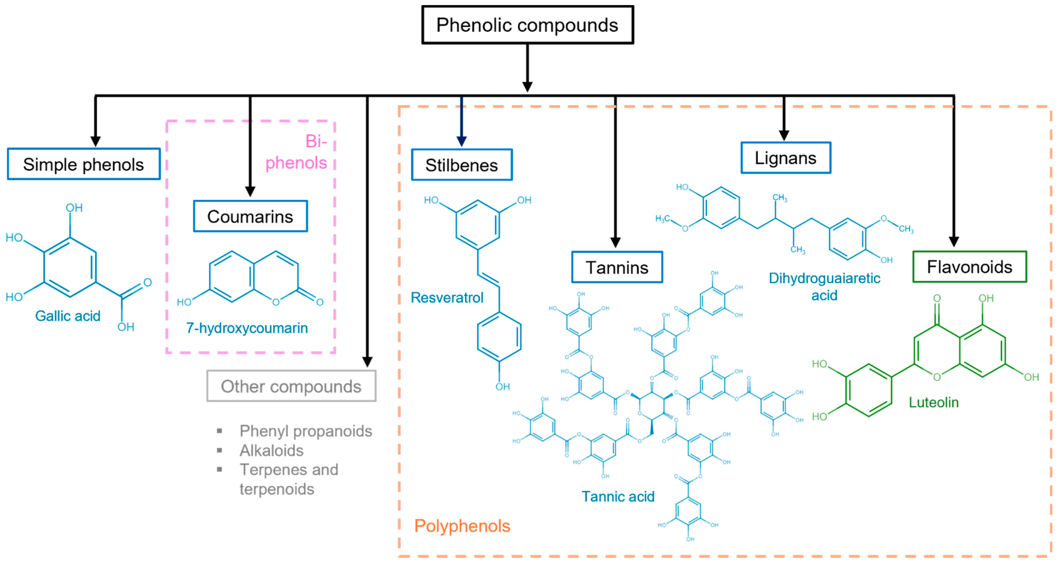 Phenolic Compounds of Therapeutic Interest in Neuroprotection