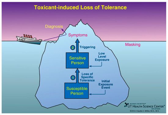 Assessing Chemical Intolerance in Parents Predicts the Risk of Autism ...