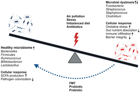 Air-Pollution-Mediated Microbial Dysbiosis in Health and Disease: Lung ...